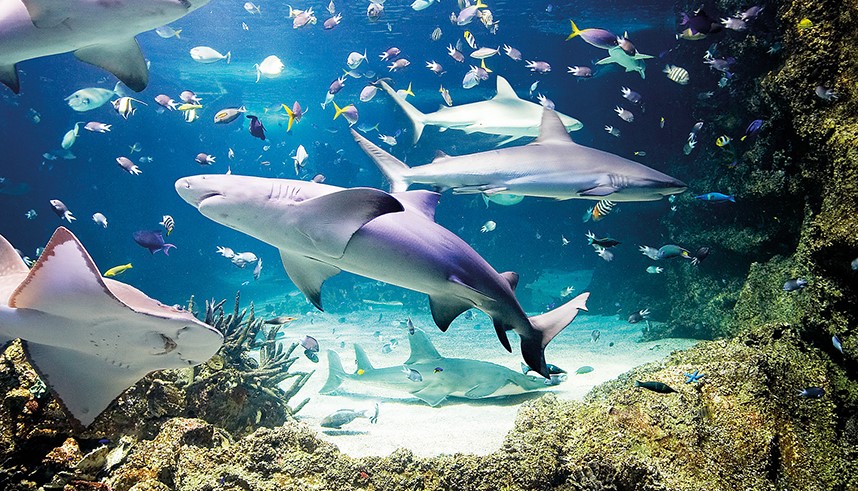 Top 15 Locuri de vizitat într-un city break la Londra ️