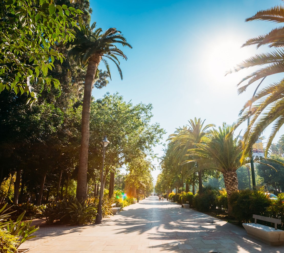 TOP 15 Locuri superbe de vizitat în Malaga ️