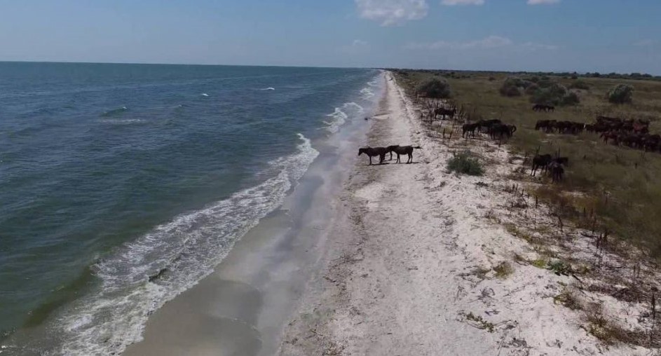 Am găsit 10 plaje superbe în Delta Dunării ️