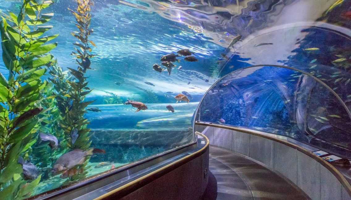 Top 15 locuri faine din Constanța ce merită vizitate într-un week-end ️