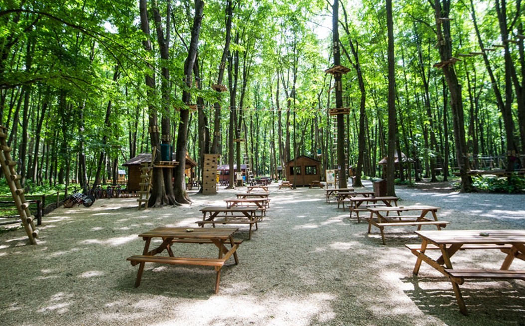 5 Ștranduri și bazine termale deschise în Băile Felix ️