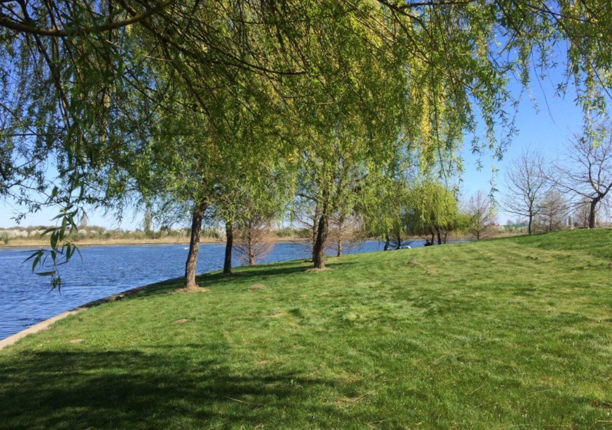 10 Locuri cu iarbă verde unde să ieși lângă București ️