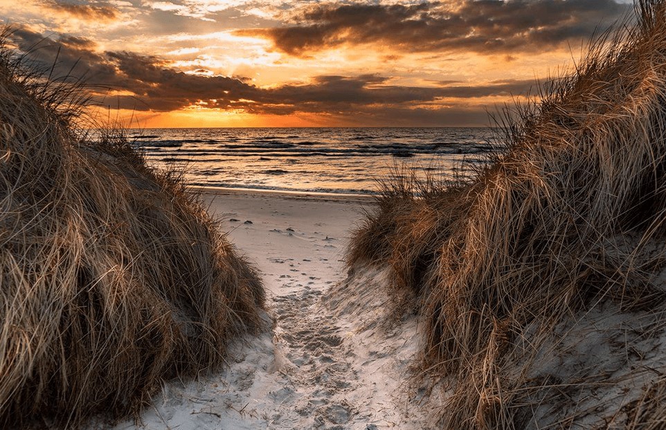 Am găsit 10 plaje superbe în Delta Dunării ️